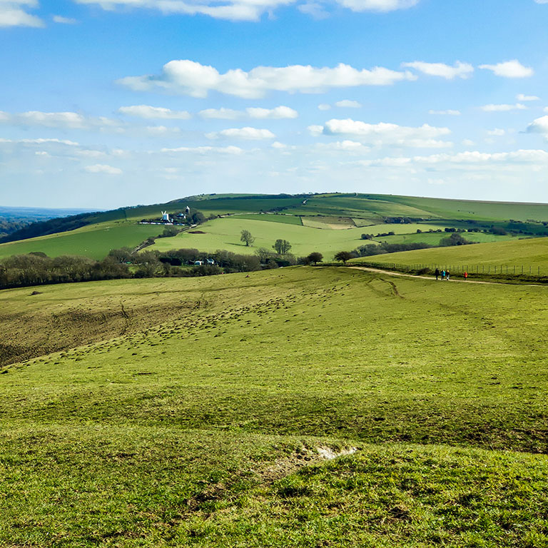 South Downs & Ditchling Beacon Walk - Charlotte's Web