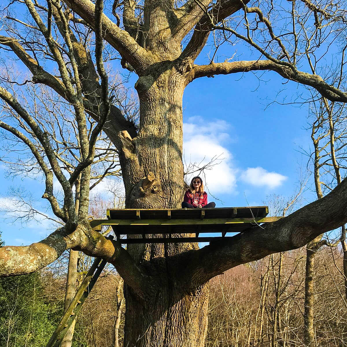 Handcross Walk - Walking Route - Charlotte's Web