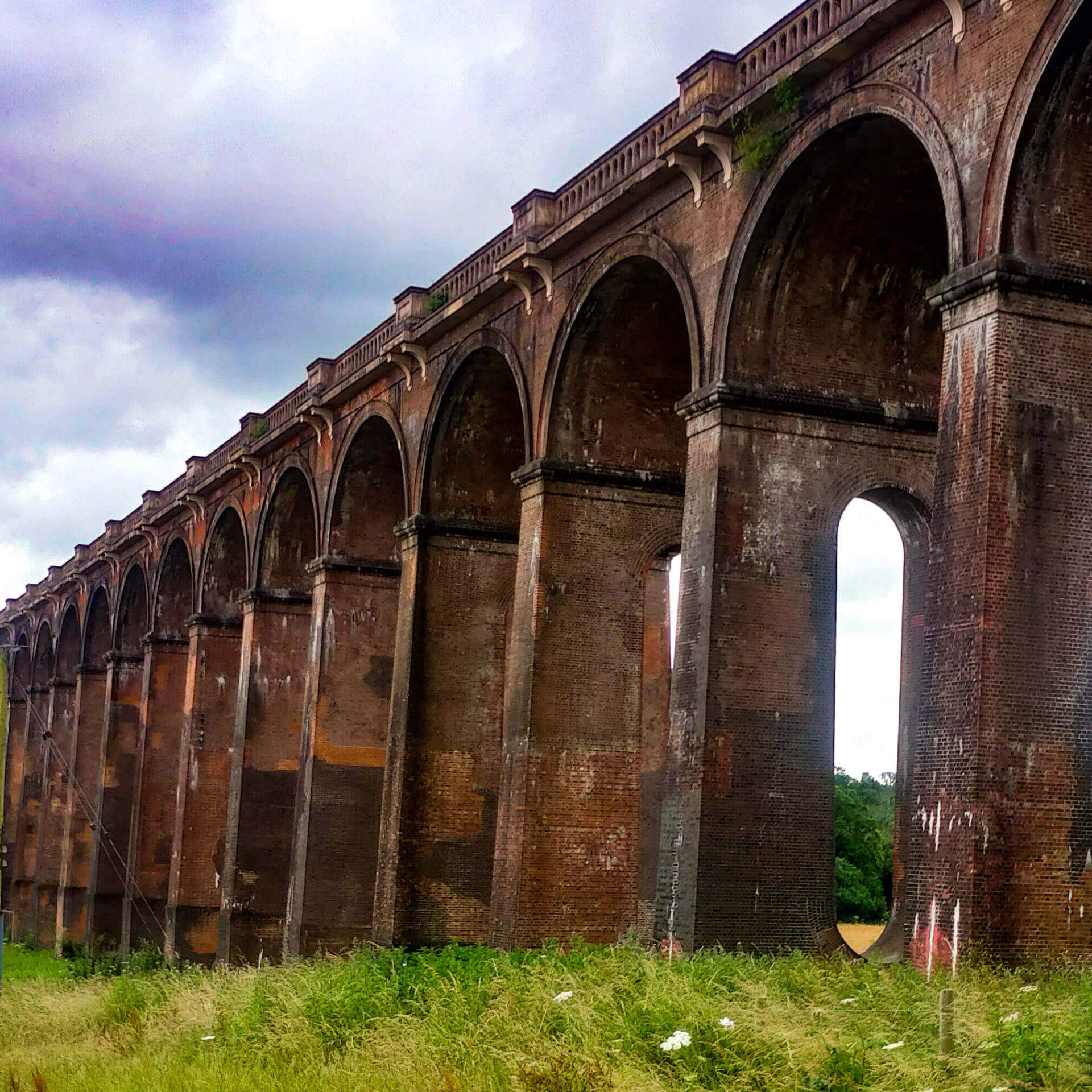 Ouse Valley Viaduct Walking Route - Charlotte's Web